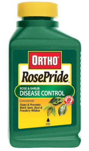 Monthly Guide for Growing Dahlias in the Bay Area – Dahlia Society Of ...